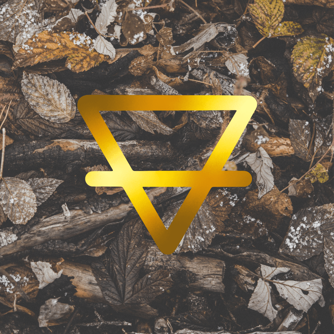 Das Element Erde - Verwurzelte Urkräfte - firstonthesun® - Spiritueller ...